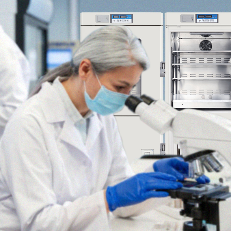 2 Door Medical Grade Laboratory Refrigerator for Lab Research